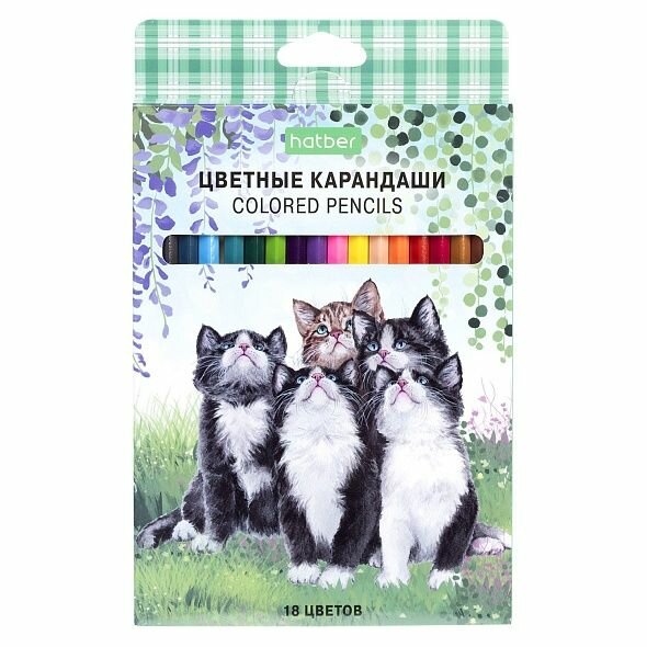 Карандаши 18цв. Hatber "Котики бывают разными" CS_084400
