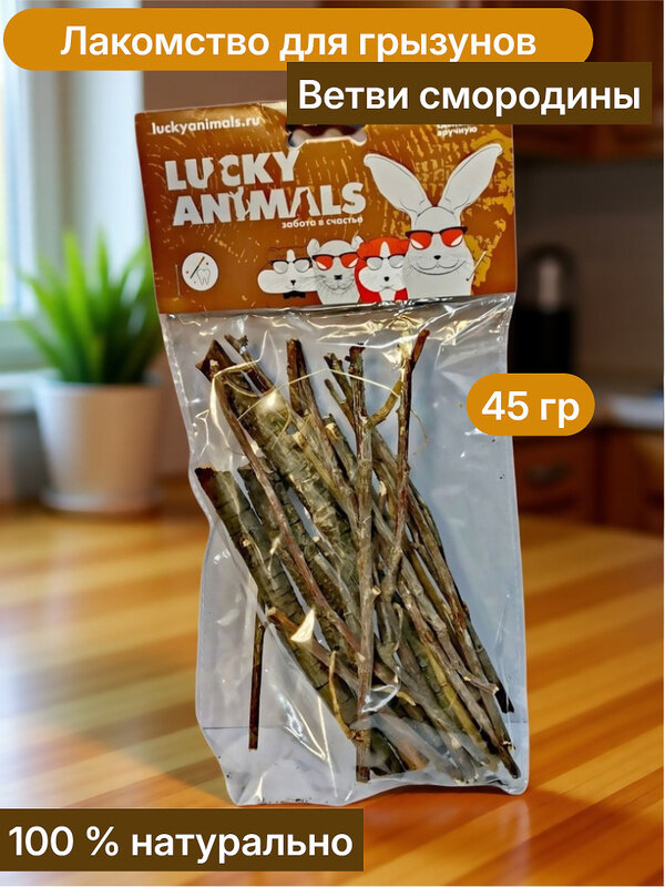 Лакомство для грызунов LUCKY ANIMALS "Ветви смородины", 45г, 1 уп