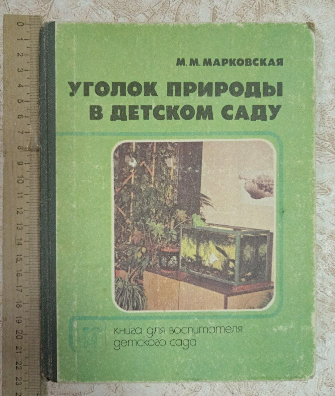 Уголок природы в детском саду