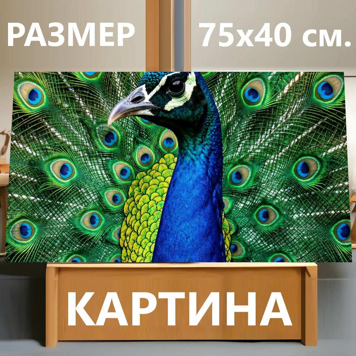 Картина на холсте "Павлин с распущенным хвостом. Яркий экзотический павлин с роскошным оперением на насыщенном зеленом фоне, детализированные." на подрамнике 75х40 см. для интерьера