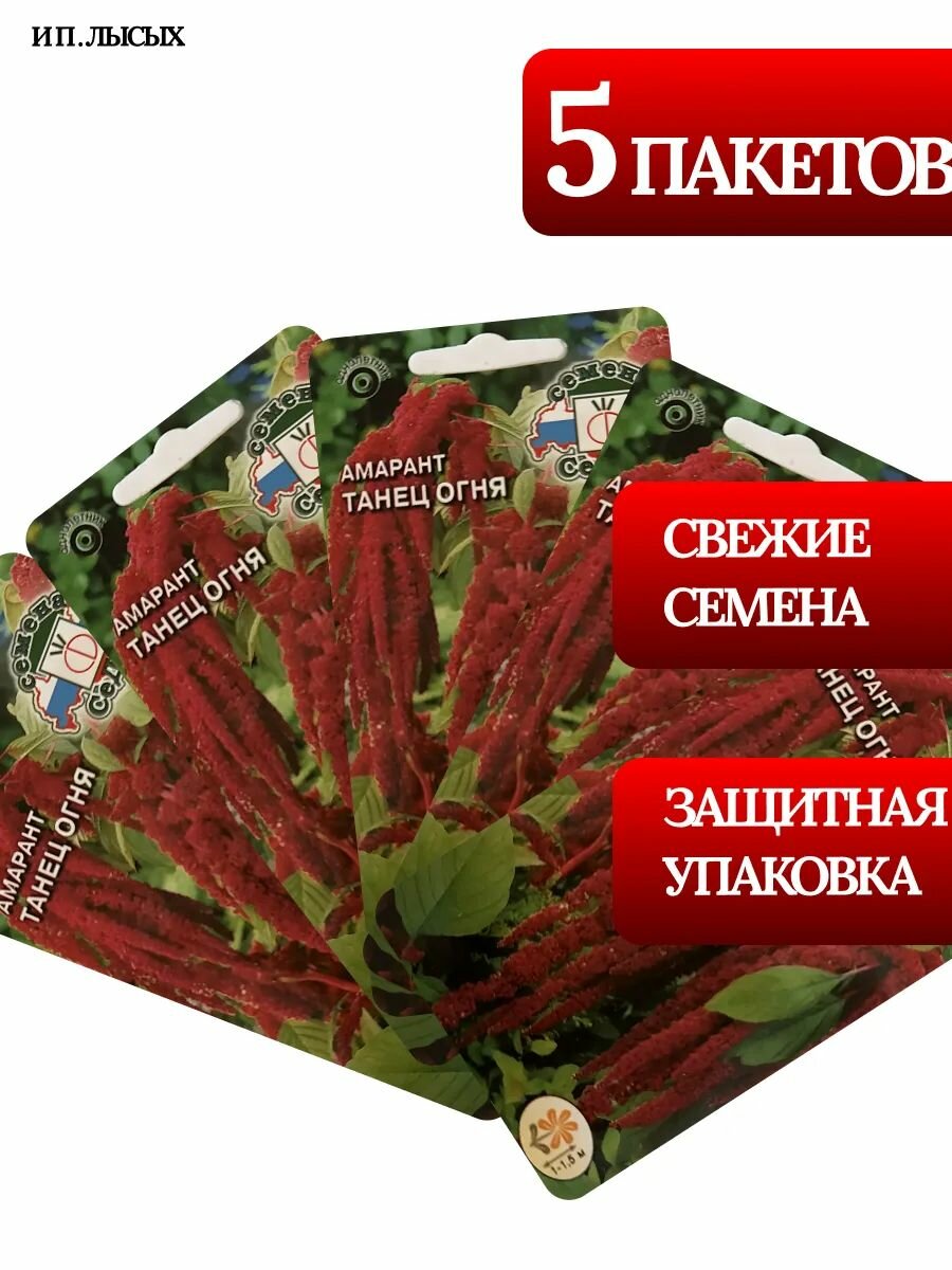 Семена Амарант "Танец Огня"