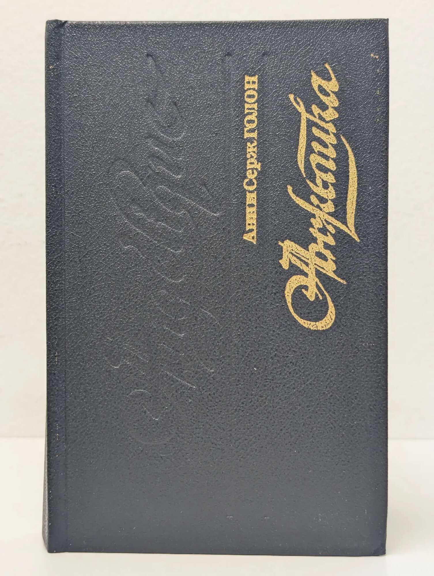 Анжелика Голон Анн, Голон Серж 1991