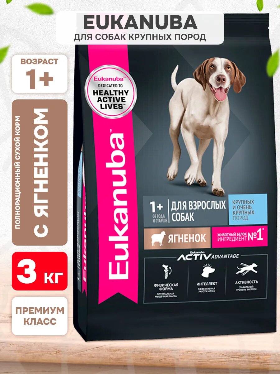 Корм сухой Eukanuba для взрослых собак крупных пород, ягненок, 3 кг