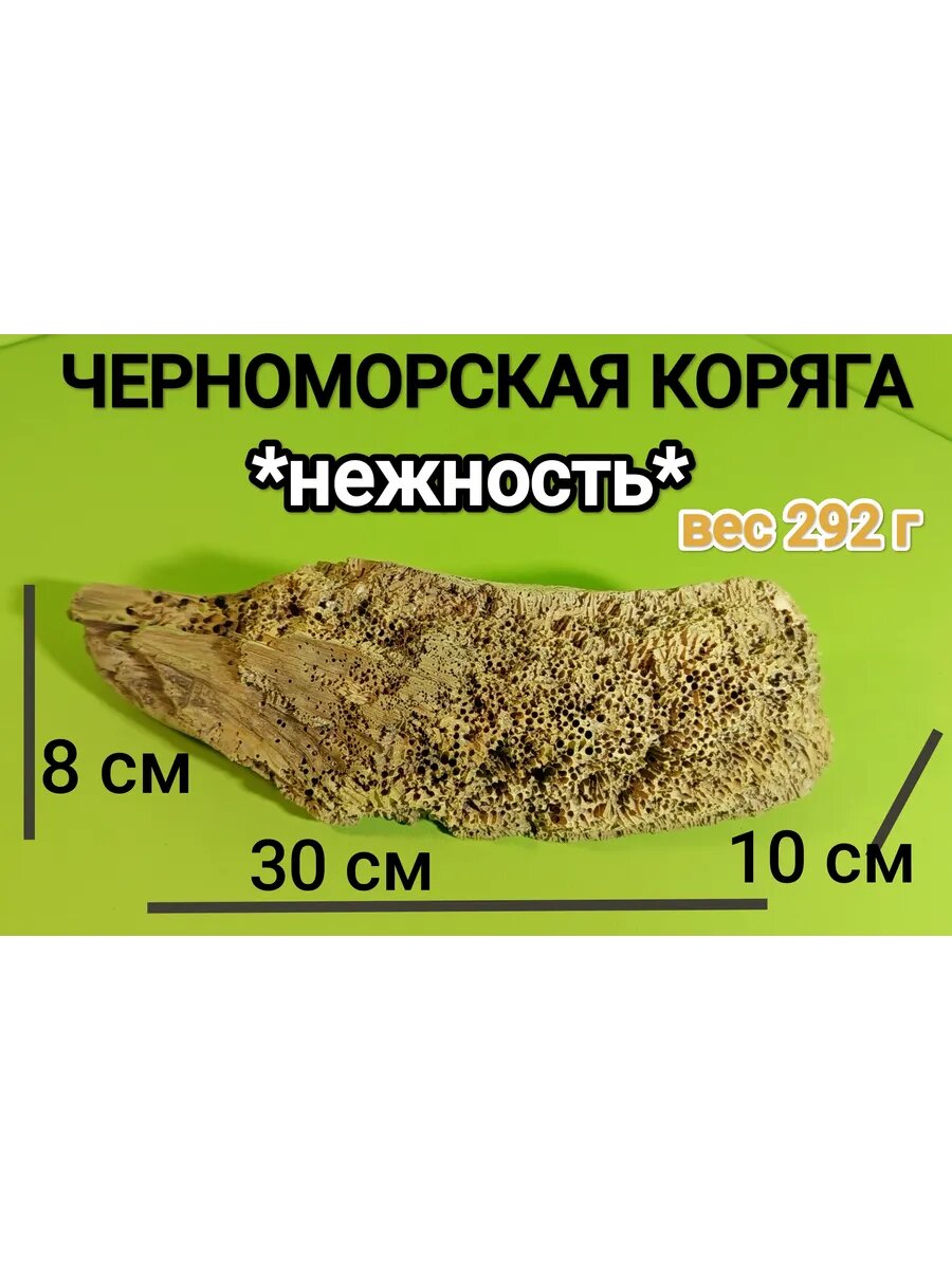 Коряга черноморская нежность для аквариума, террариума, инсе