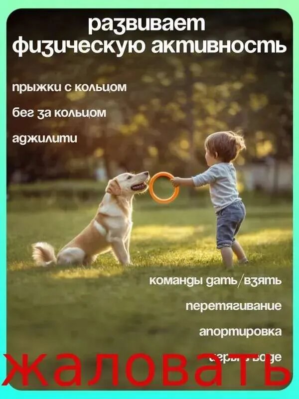 Кольцо-пуллер для собак, 29 см, игрушка для собак — фото 1