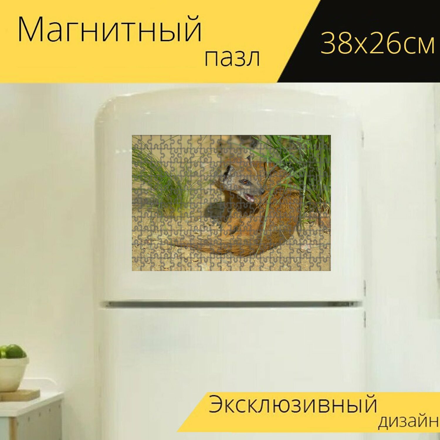 Магнитный пазл "Желтый мангуст, cynictis penicillata, африка" для интерьера, 38х26 см.