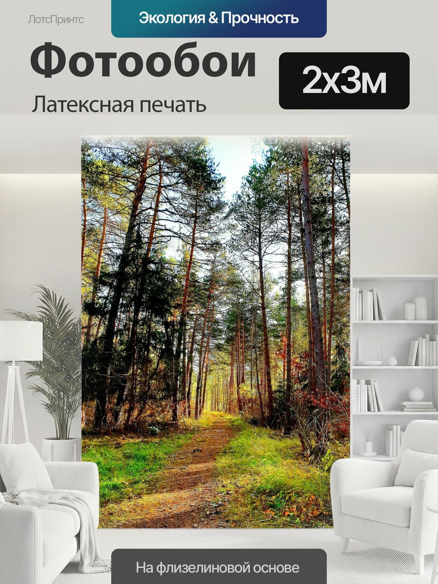 Фотообои моющиеся ударопрочные "Осень, лес, деревья" 200x300 см. латексная печать
