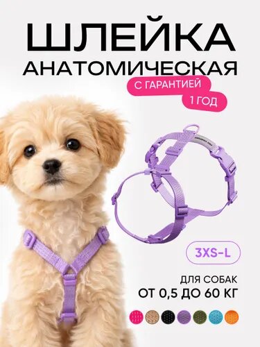 Шлейка для кошек и собак мелких пород анатомическая, размер 3XS, светоотражающая, лиловый