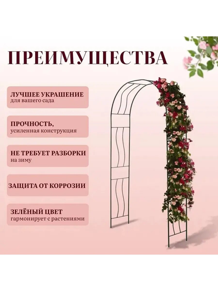 Элегантная садовая арка для вьющихся растений