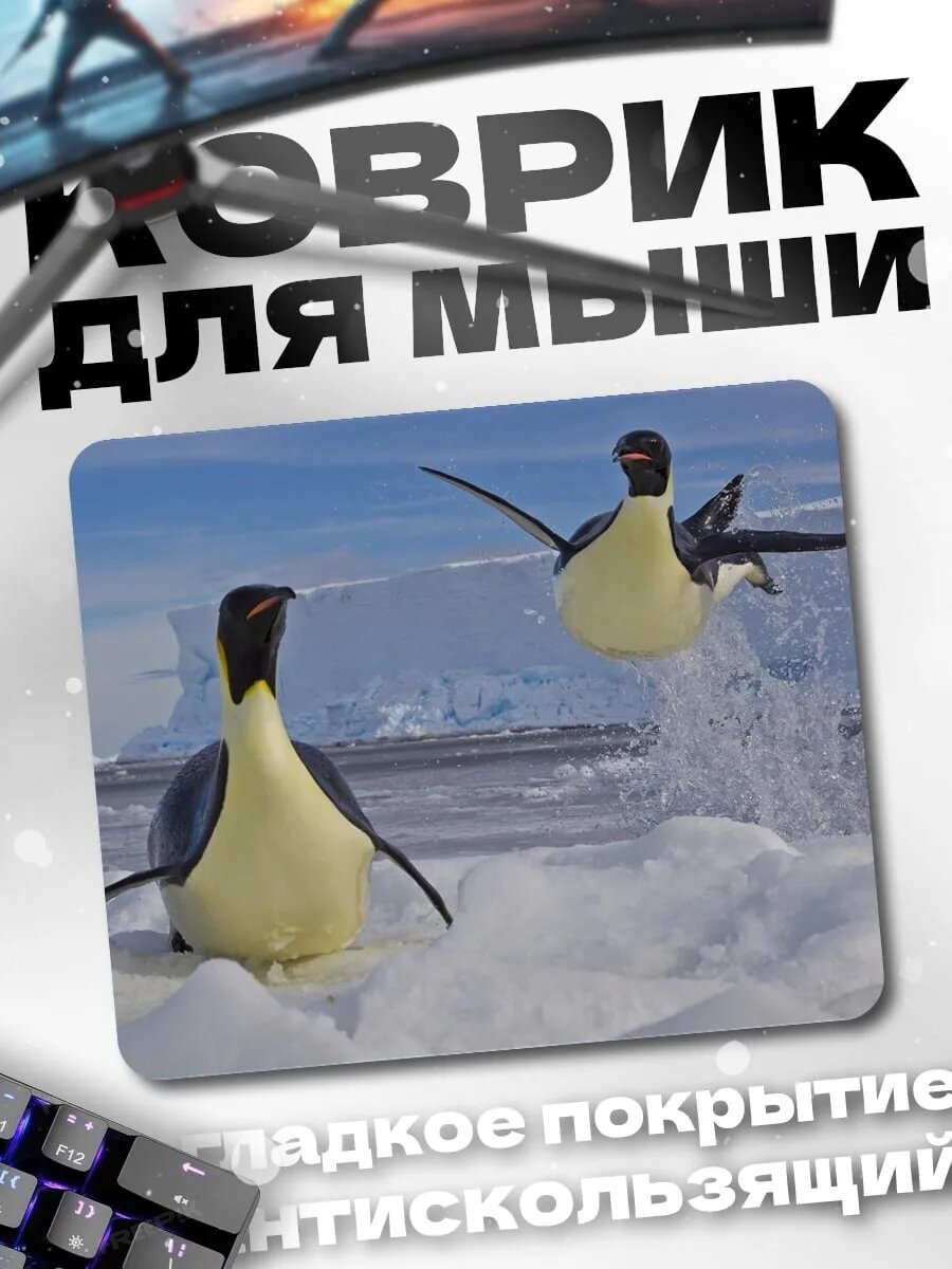 Коврик для мыши Пингвины в снегу