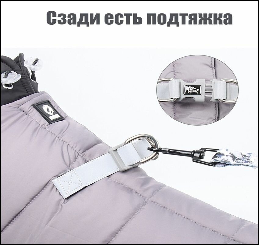 Одежда для животных — фото 1