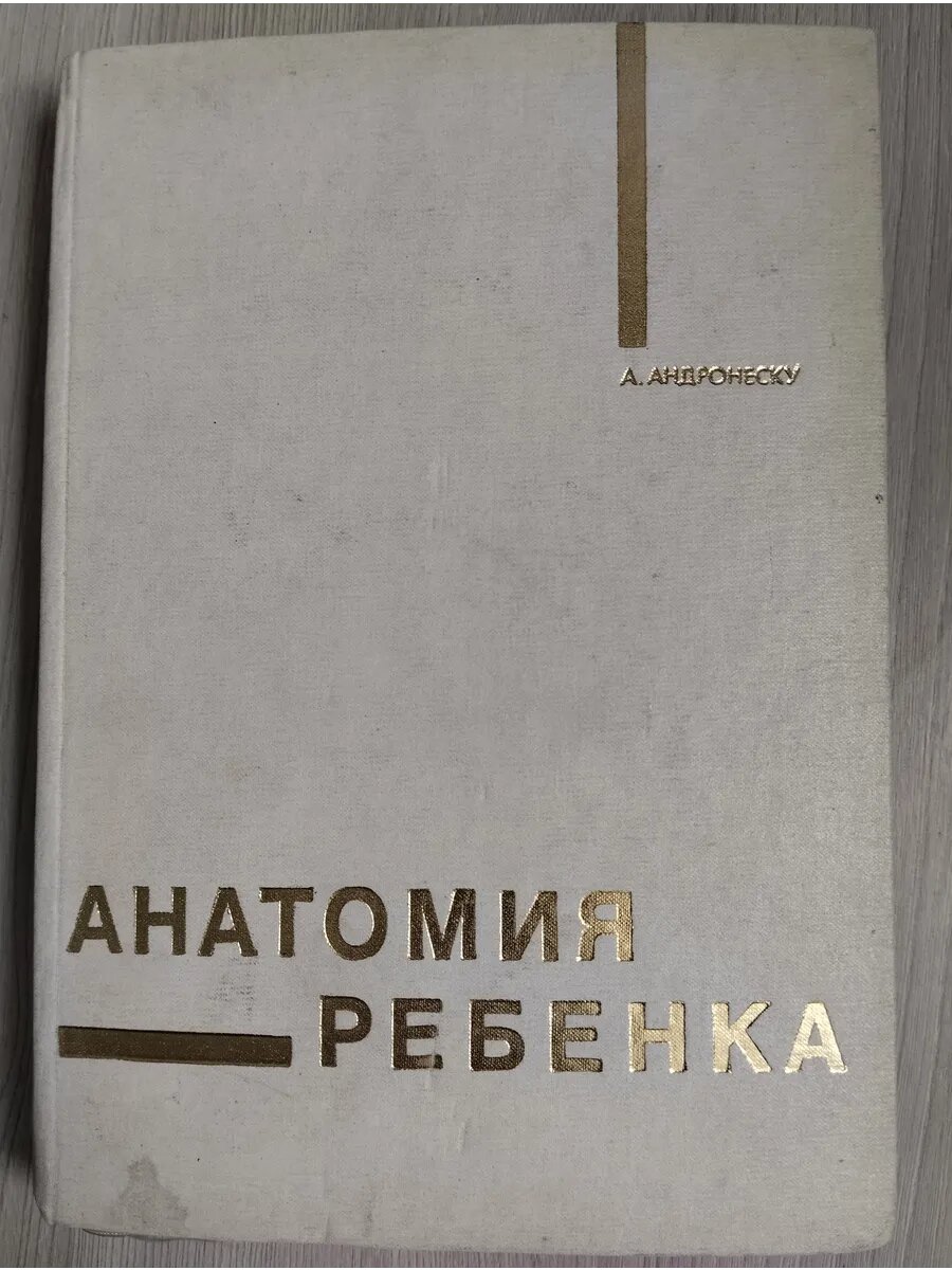 Анатомия ребенка
