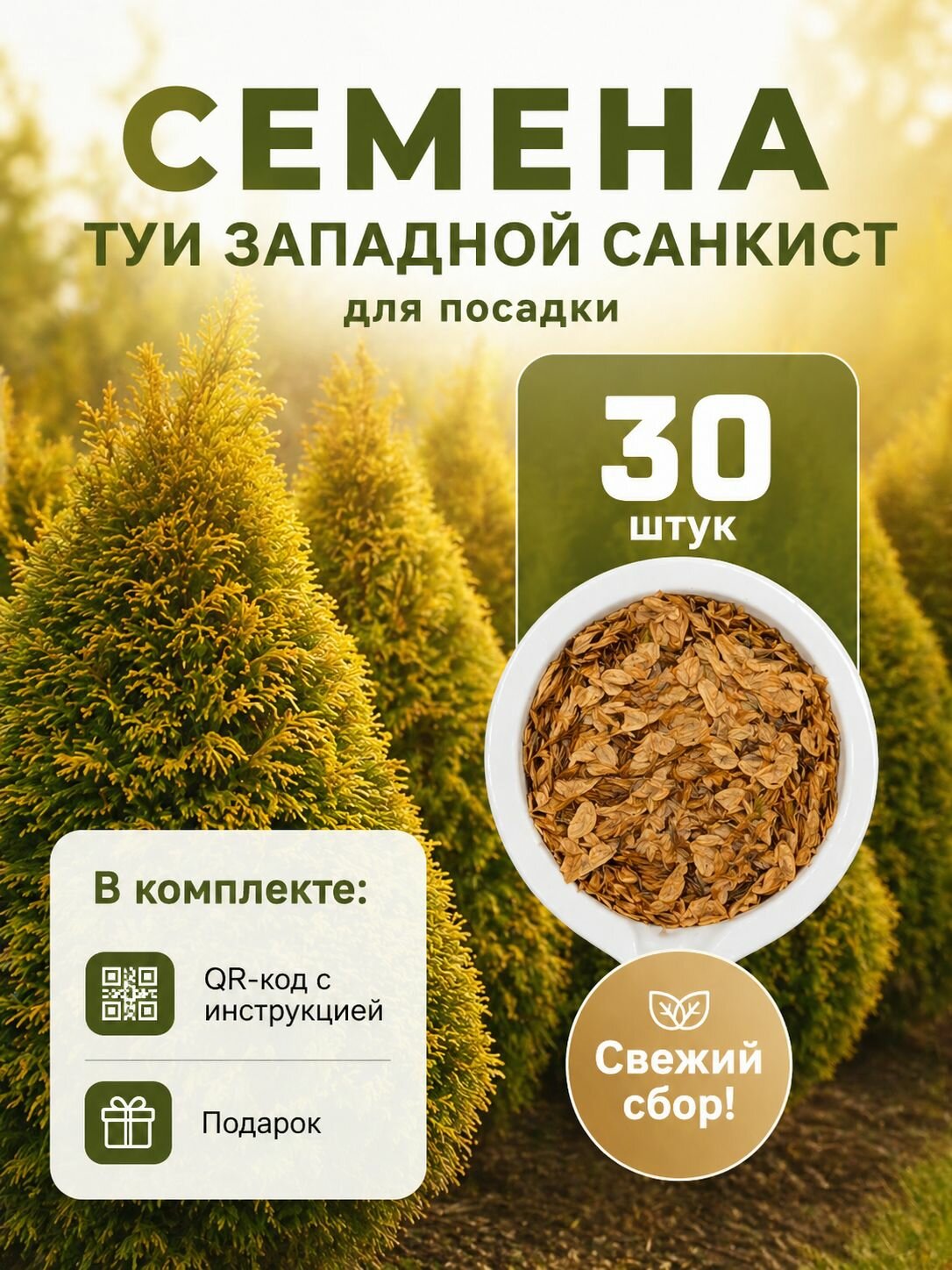 Семена Туи Санкист, 30 шт