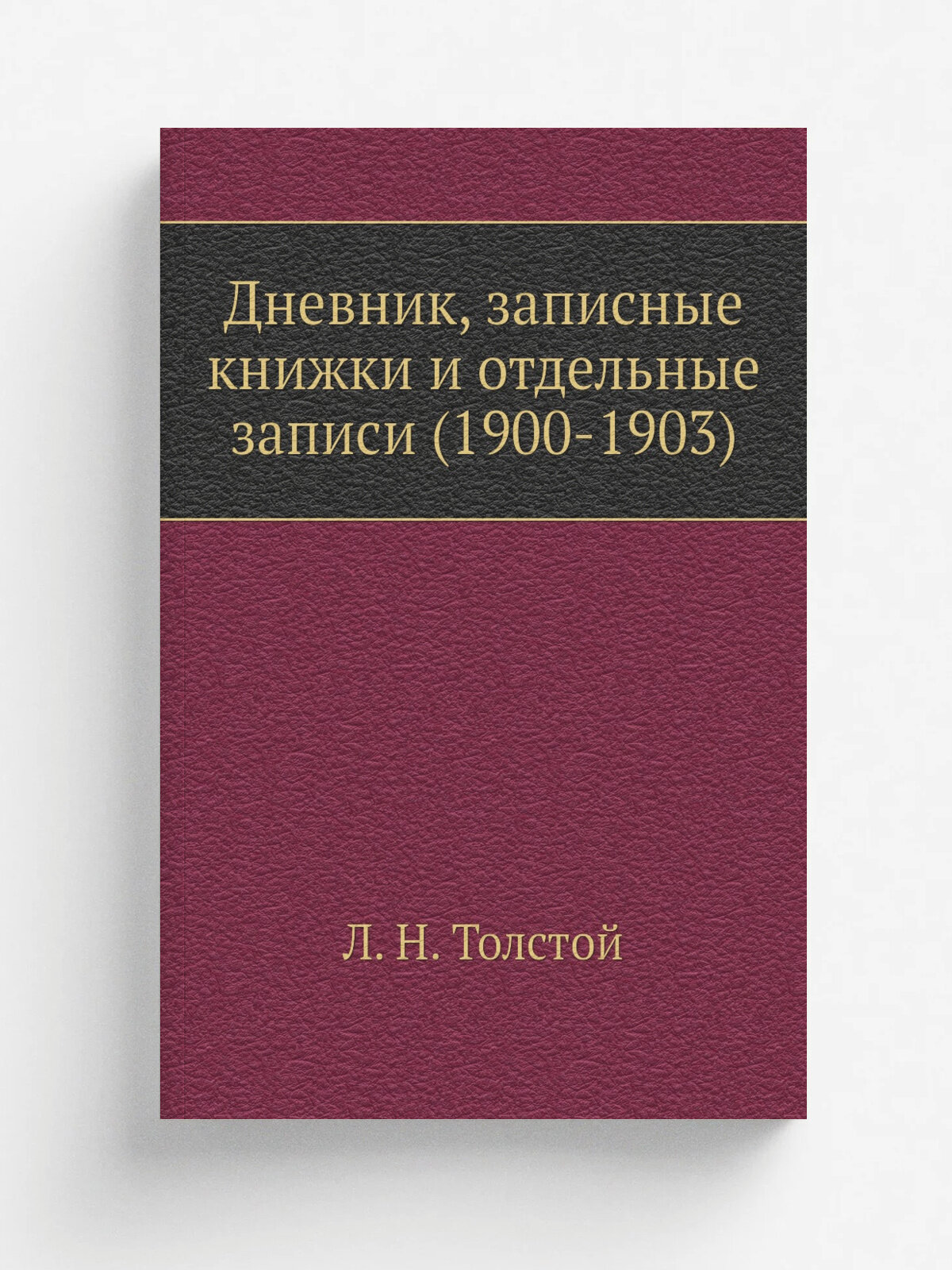 Дневник, записные книжки и отдельные записи (1900-1903)