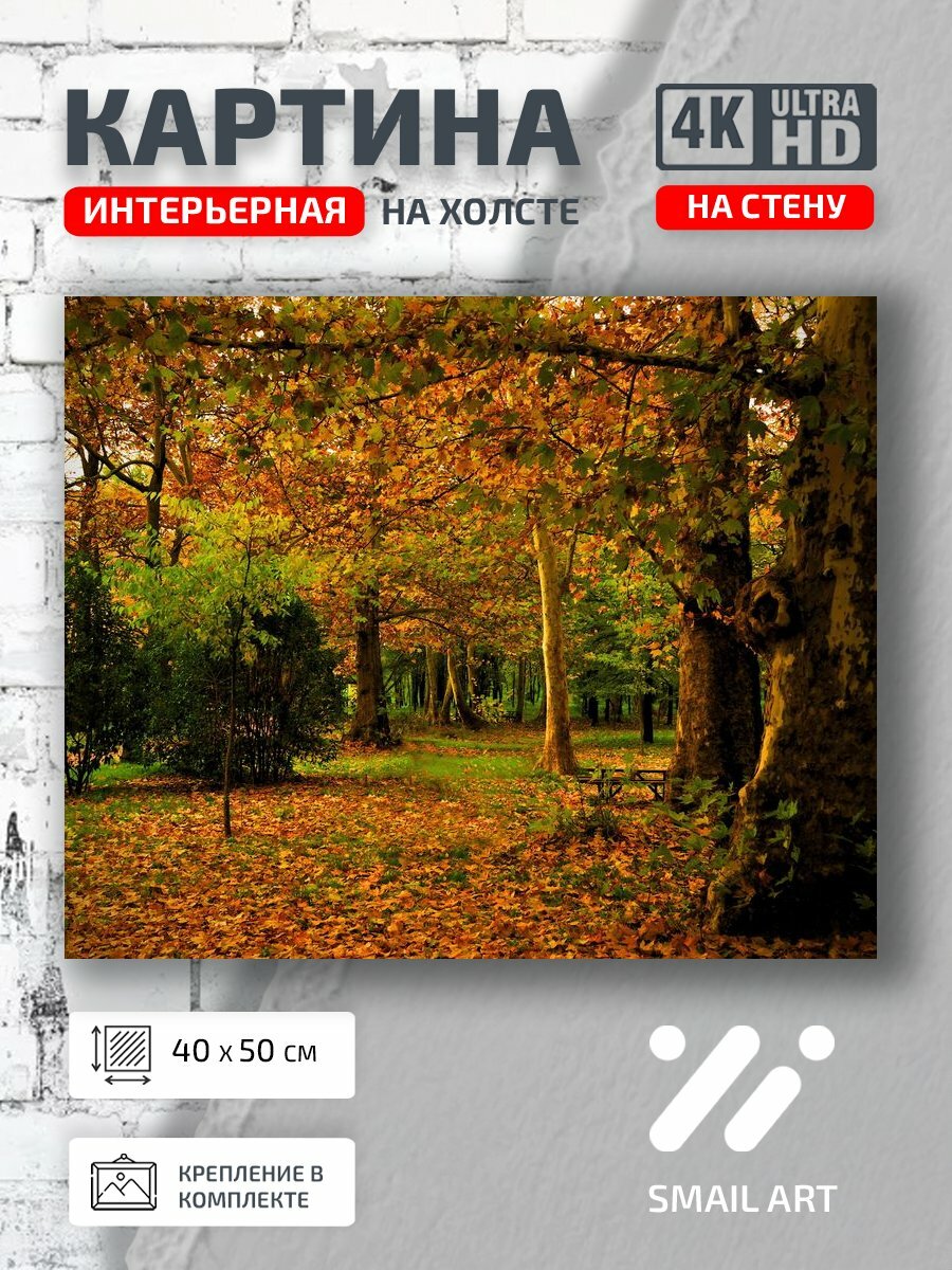 Картина на холсте интерьерная 40 на 50 на стену Осень Landscape для кафе пейзаж интерьер