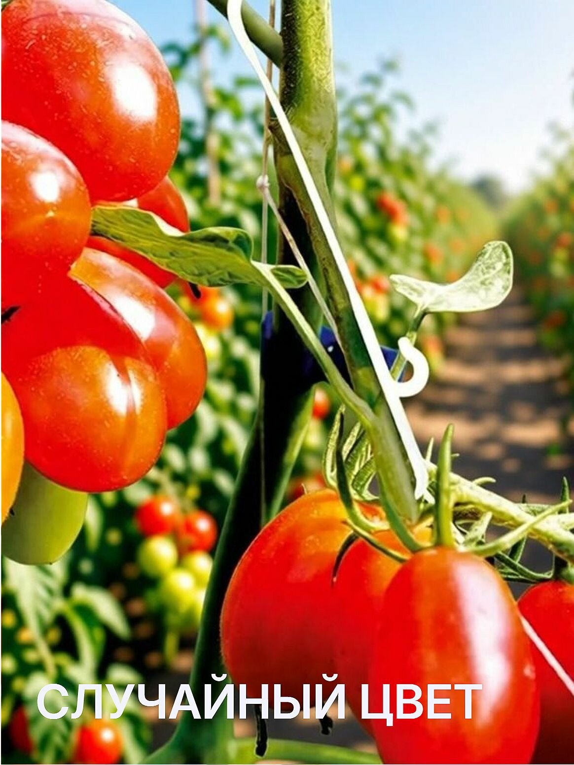 Крючки садовые 50 шт.