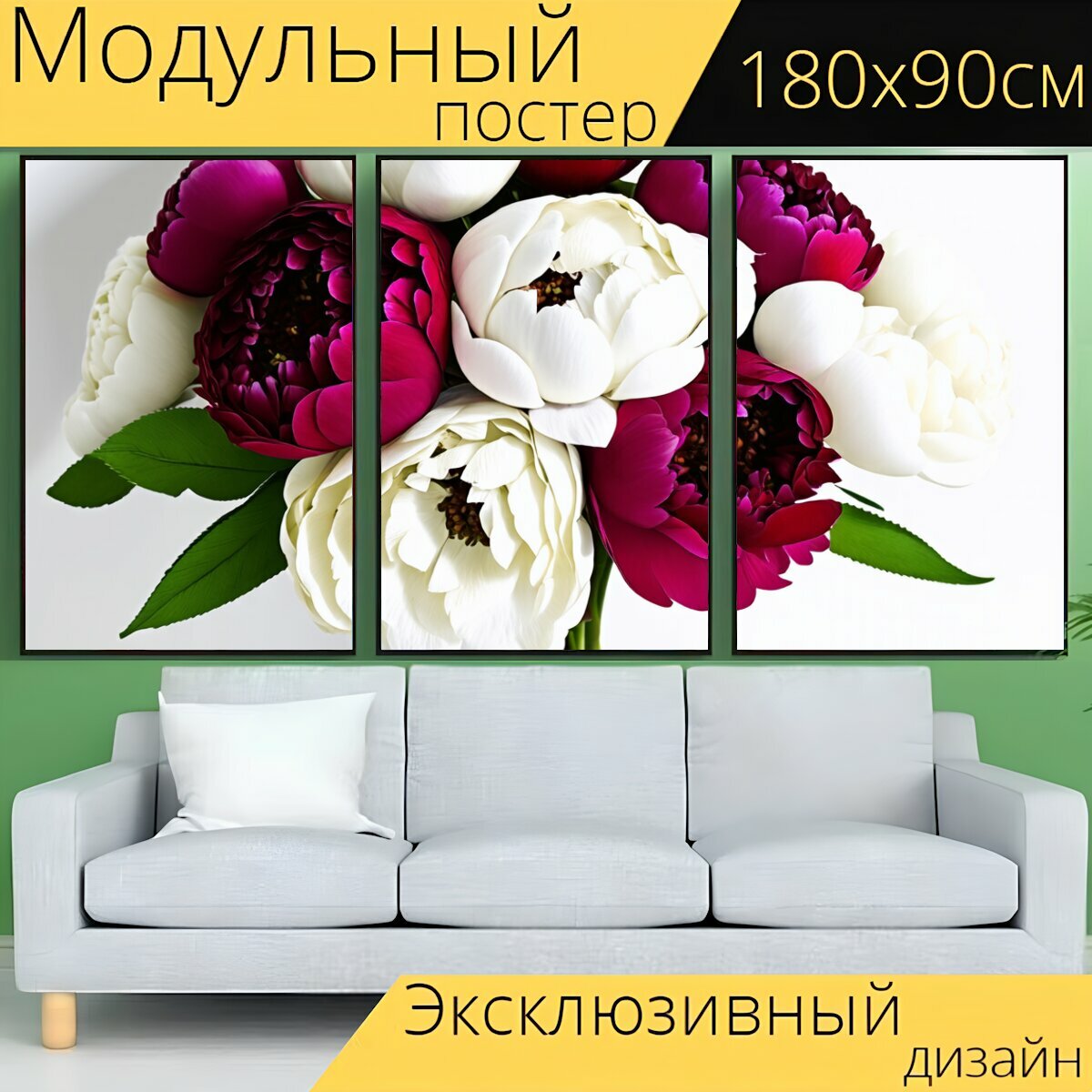 Модульный постер "Букет пионов в белом и бордовом цветах, крупные, яркие цветы, с большими нежными лепестками, на белом фоне." 180 x 90 см. для интерьера на стену в тубусе
