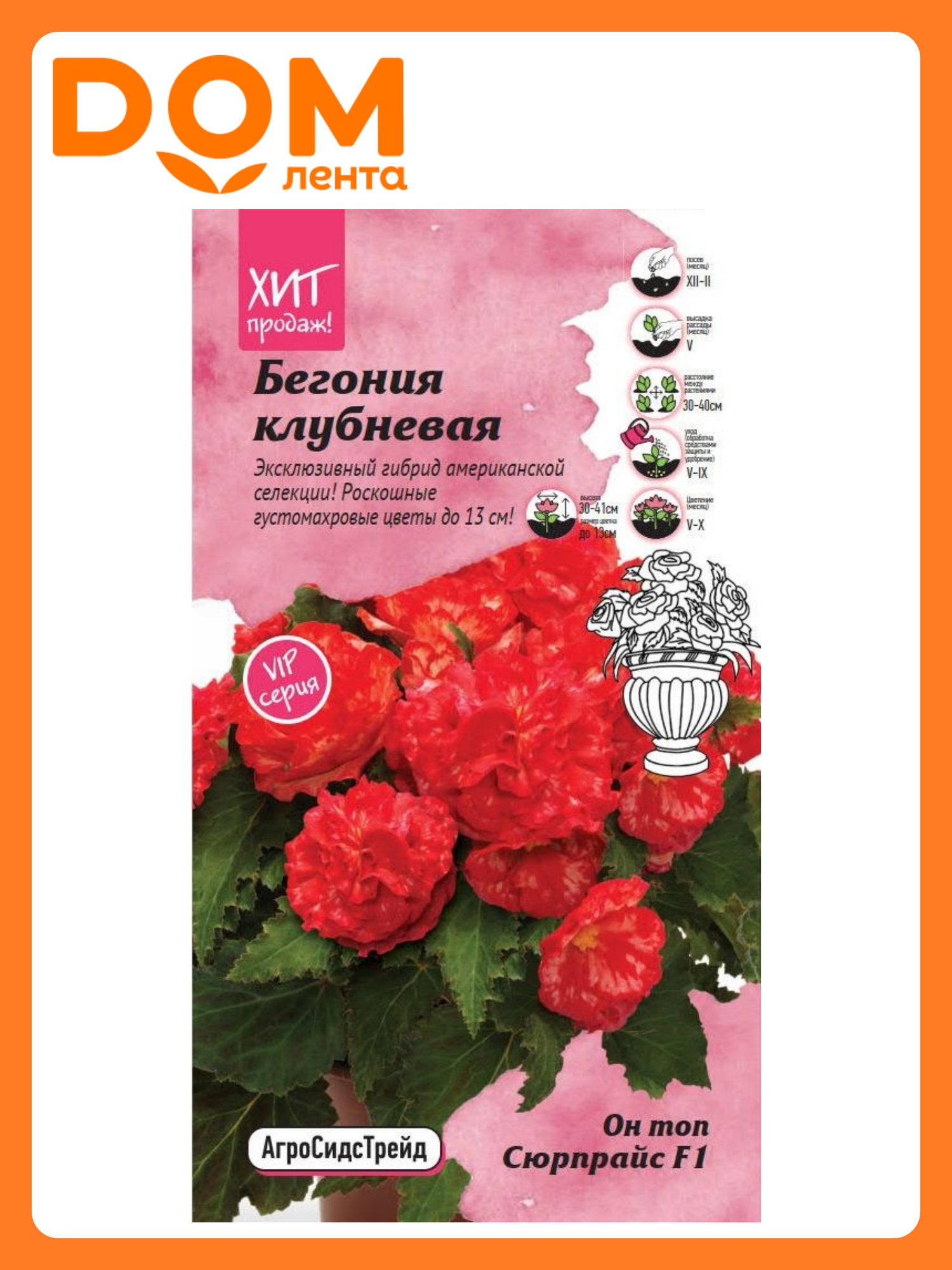 Бегония клубневая ОН ТОП Сюрпрайс 6 шт АСТ