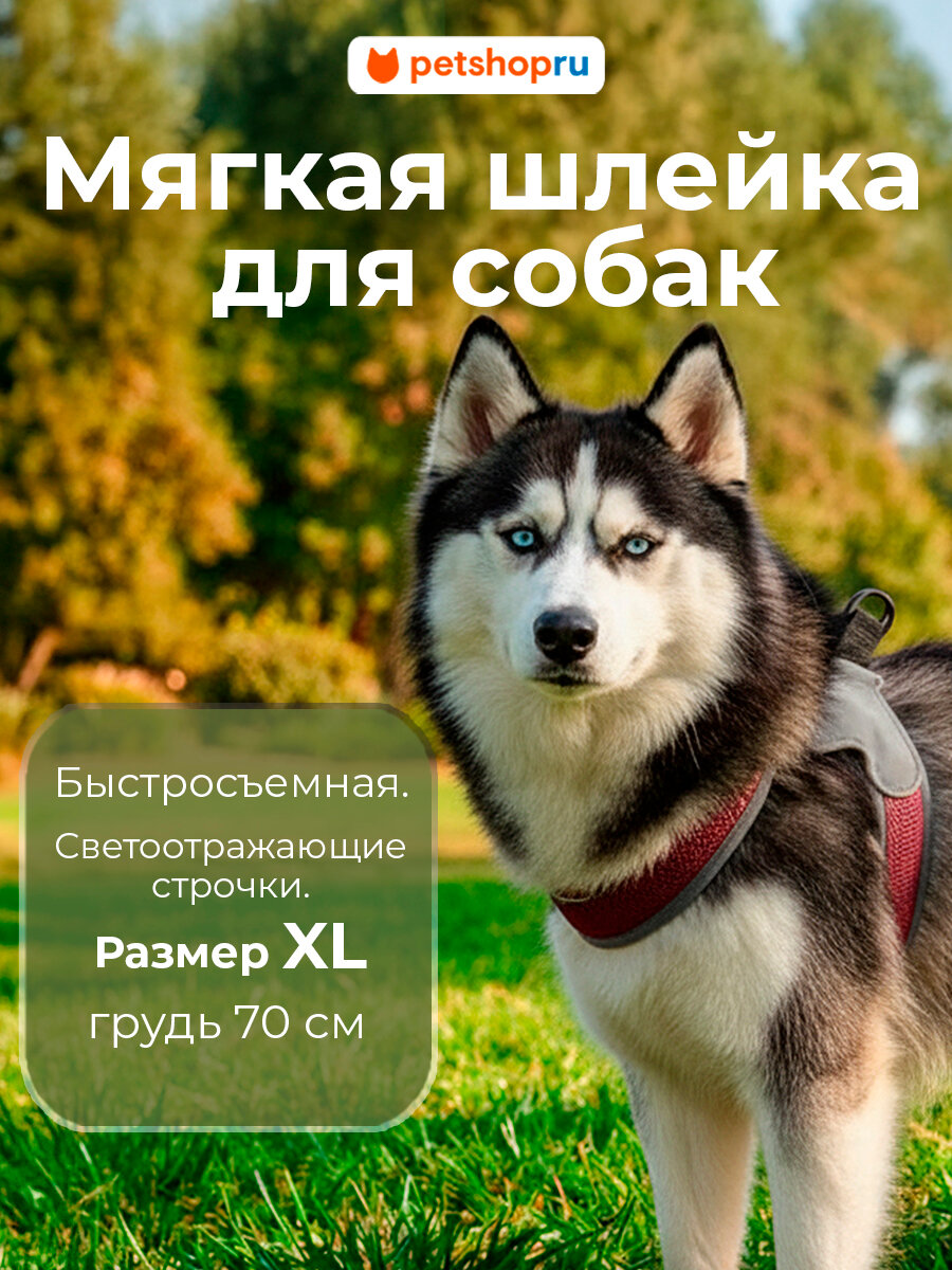 PETSHOP Шлейка для собак мягкая "Спайк" XL, винная