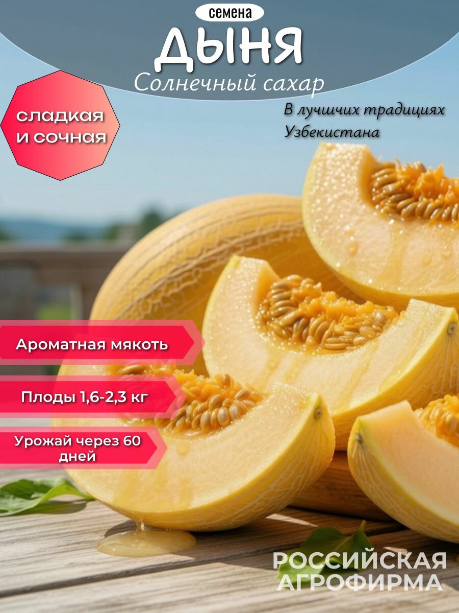 Семена Дыня Солнечный сахар