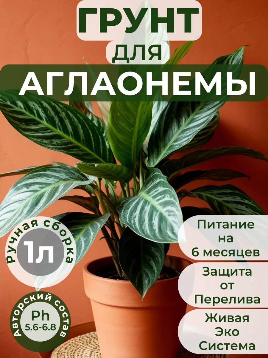 Готовый авторский грунт для Аглаонемы, премиум 1 литр