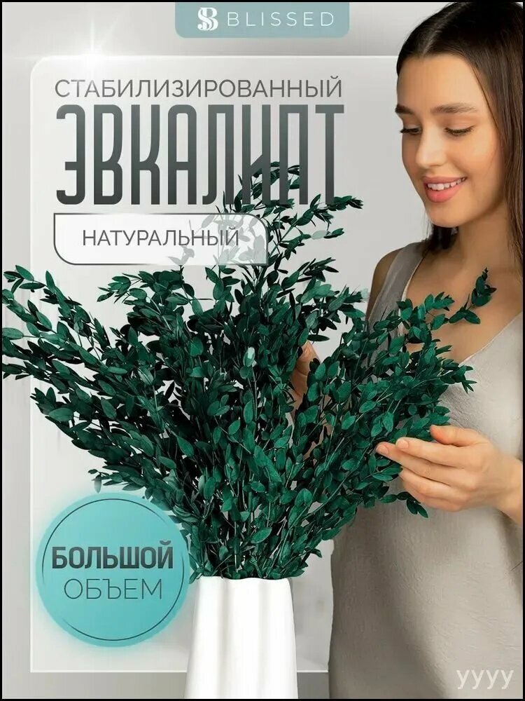 Сухоцветы Эвкалипт, 55 см, 150 гр