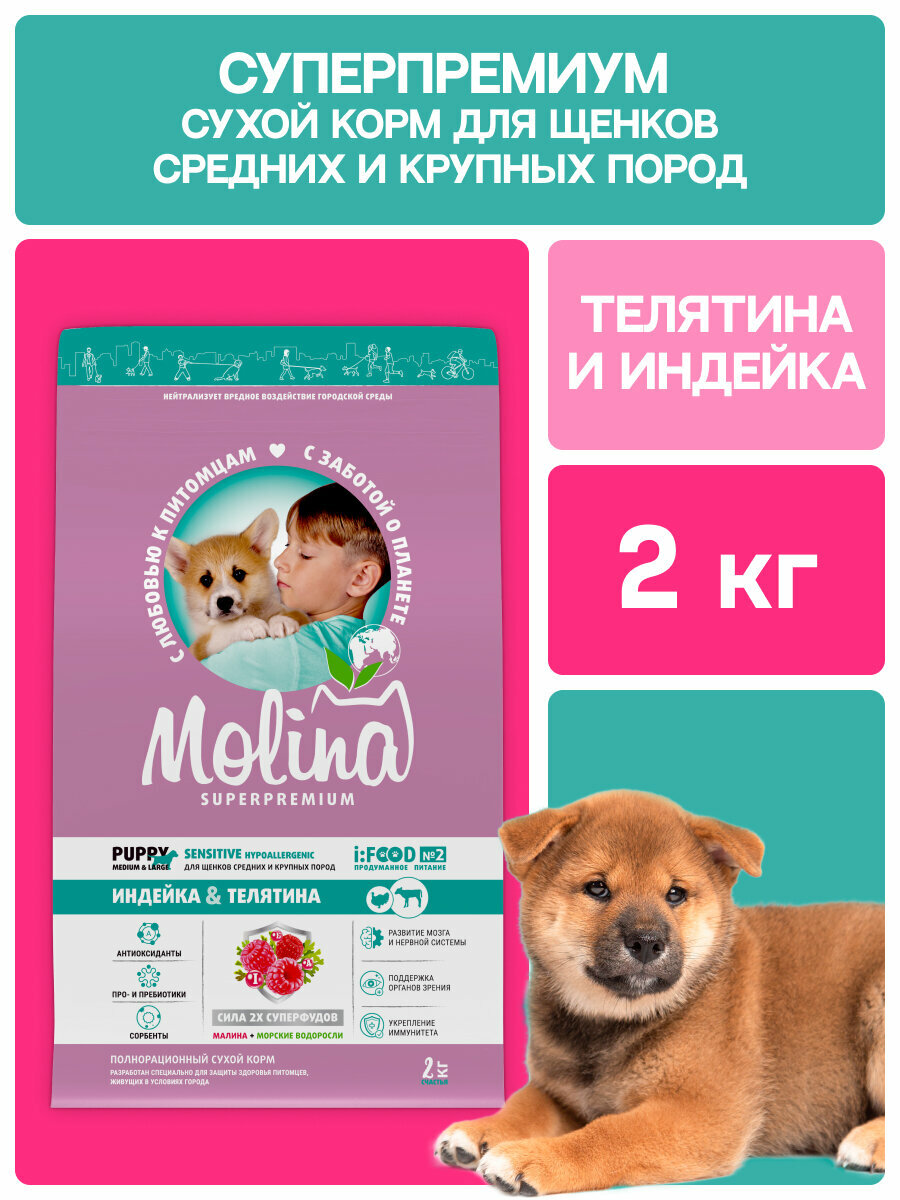 Сухой корм для щенков и молодых собак средних и крупных пород с индейкой и телятиной, 2 кг MOLINA