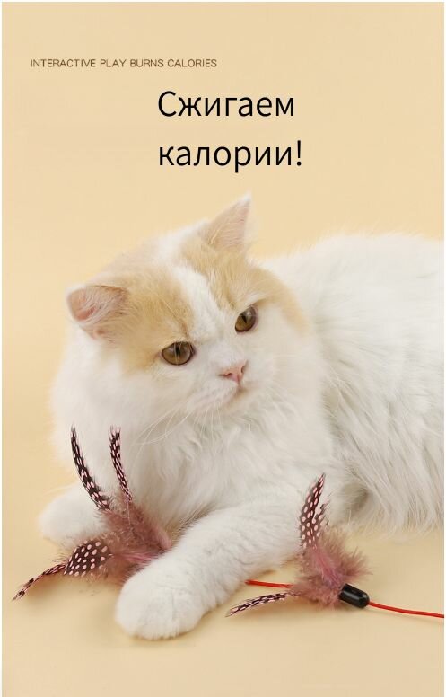 Интерактивная игрушка для кошек: длинная удочка-дразнилка с перьями и помпоном для снятия скуки