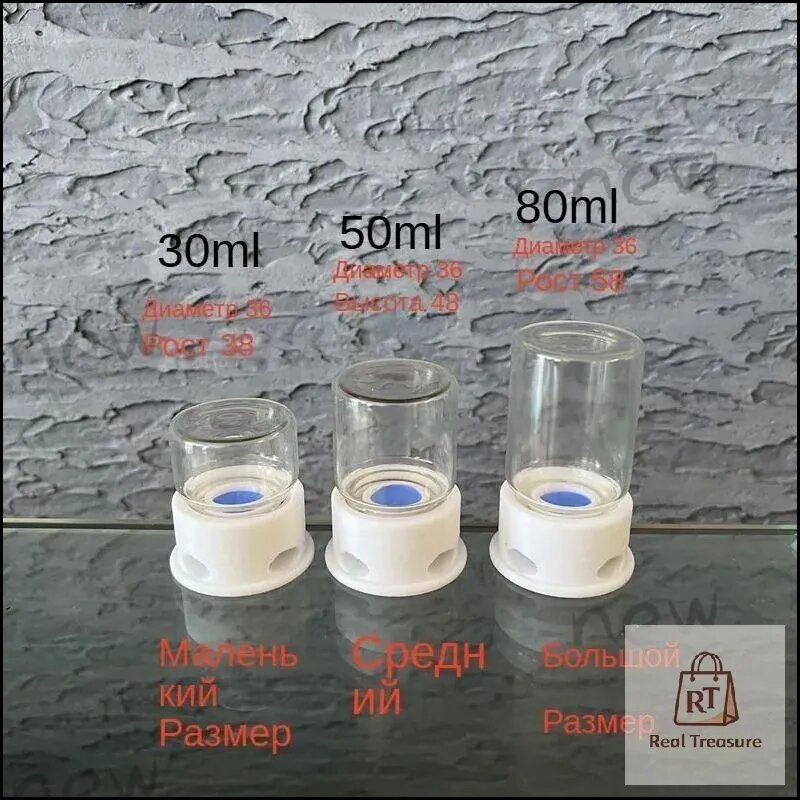 Уникальная колония муравьев