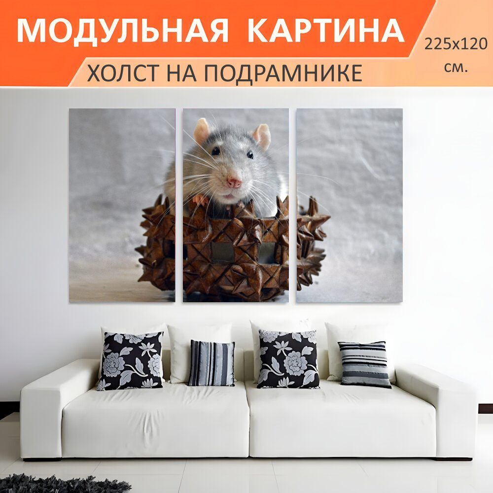 Модульная картина на холсте "Крыса, декоративная, в корзинке" триптих на подрамнике 225х120 см. для интерьера