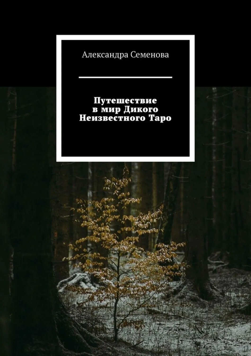 Путешествие в мир Дикого Неизвестного Таро [Цифровая книга]