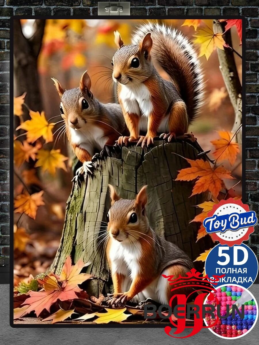 Алмазная мозаика "белка" / Алмазная вышивка / Круглая картина стразами Полная выкладка 40х50CM(без подрамника, без рамки)