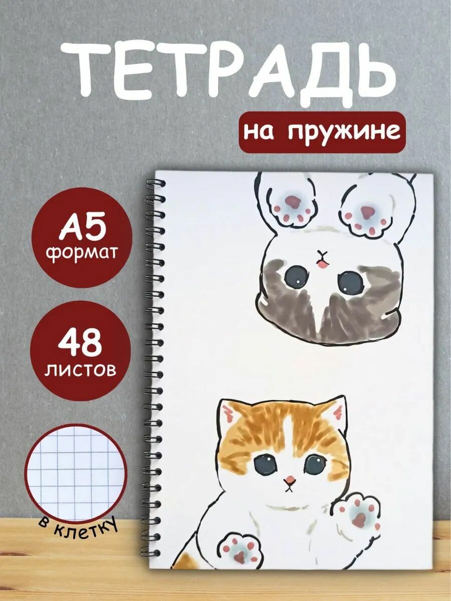 Тетрадь в клетку 48 листов на пружине , блокнот А5 Милые котики