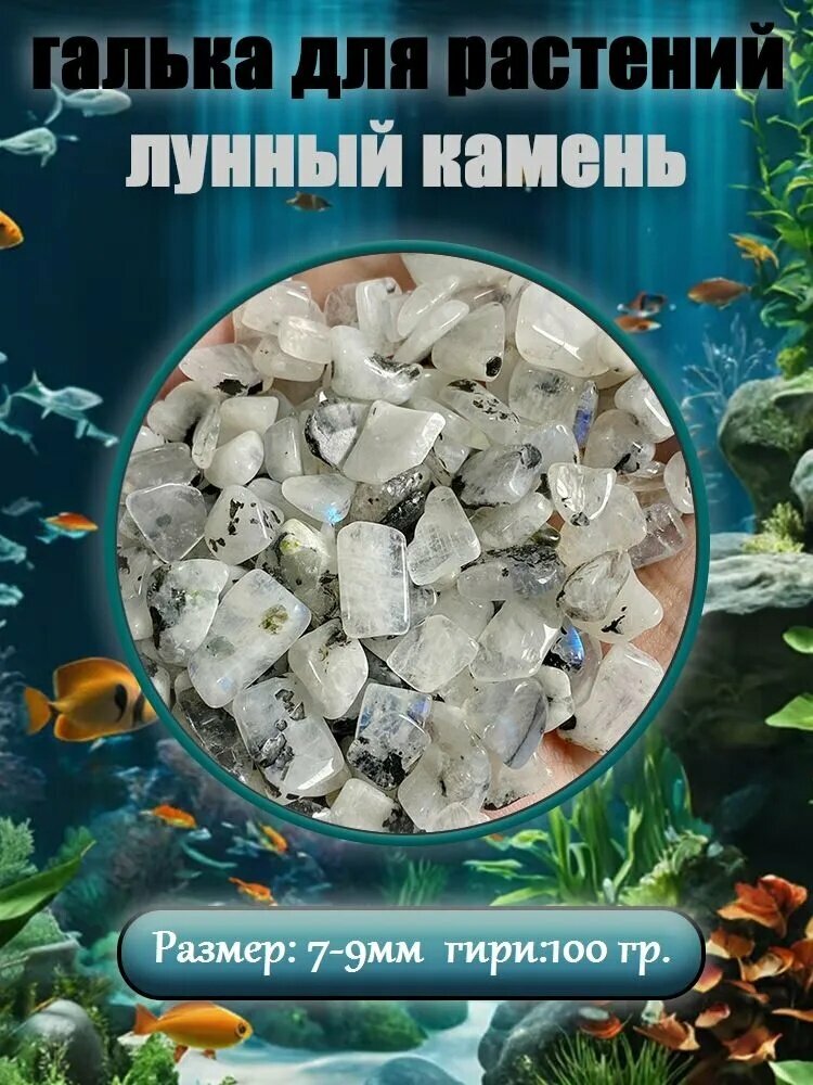 Лунный камень Грунт для аквариума и растений , кактуса и суккулентов , Каспийская галька 7-9 мм, 100 гр.