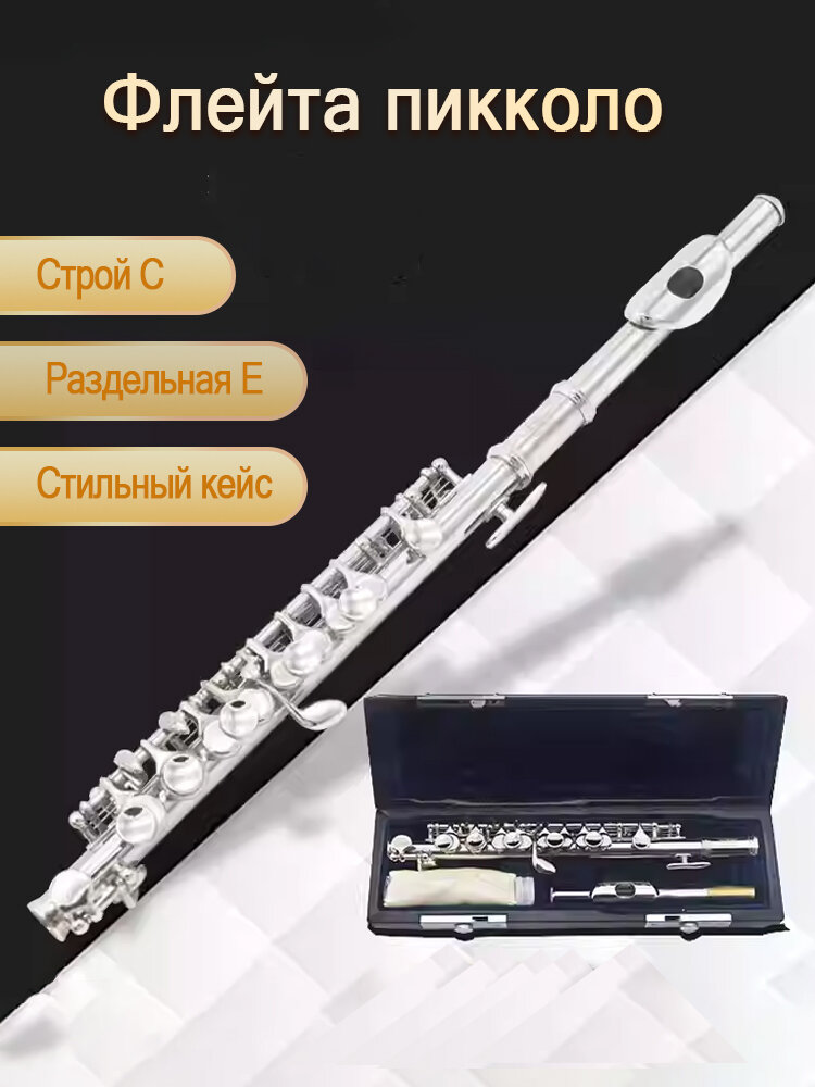 Флейта пикколо никелированный с овальным кейсом из искусственной кожи