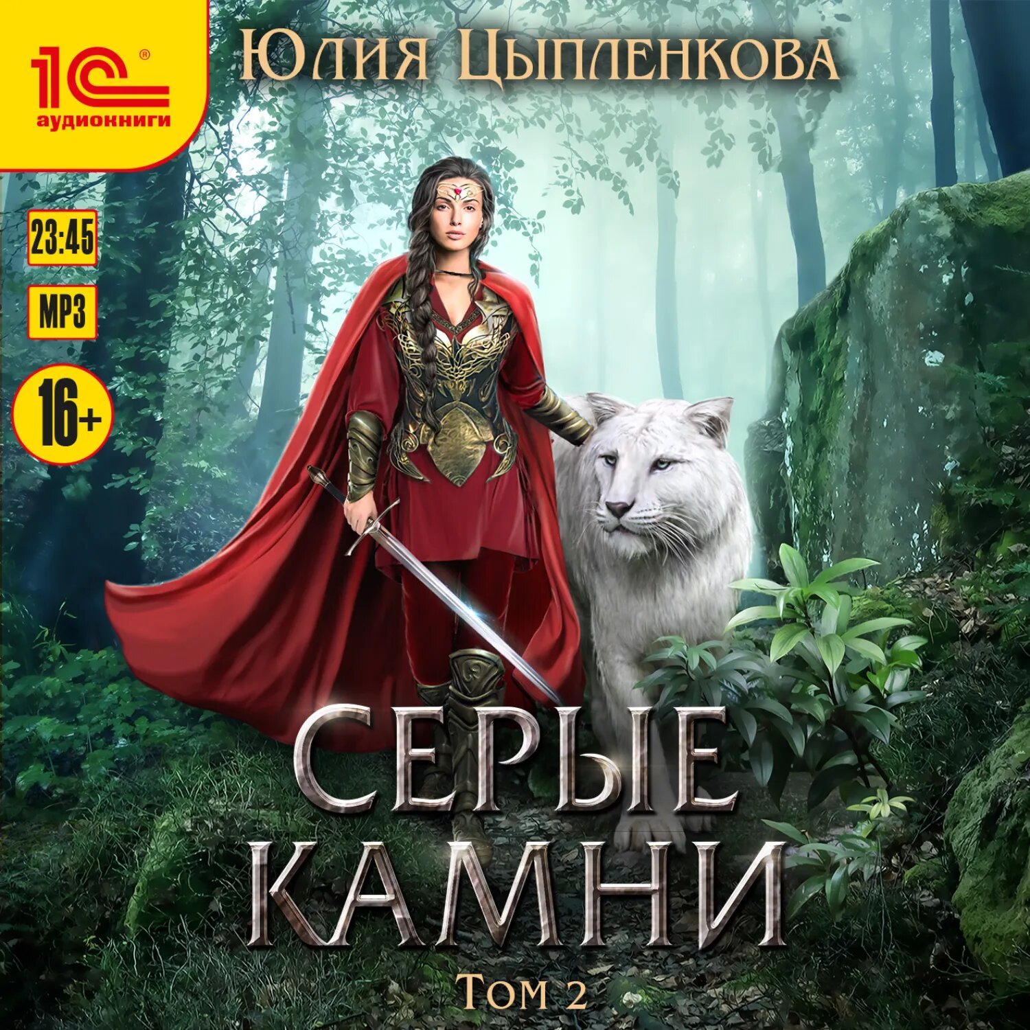 Серые камни. Том 2 [Аудиокнига]