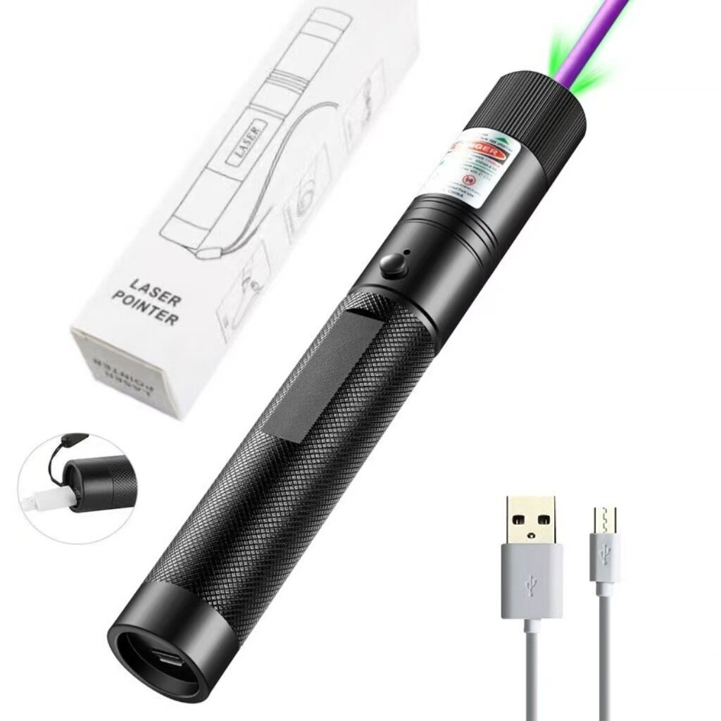 303 мощный лазерный фонарик красный зеленый внешний лазерный фонарик USB303 сине-фиолетовый свет гипсофила с прямой