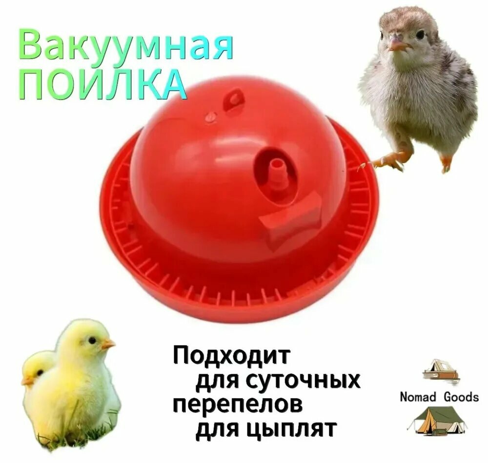 Вакуумная автоматическая колокольная поилка для перепелят и суточнй птицы