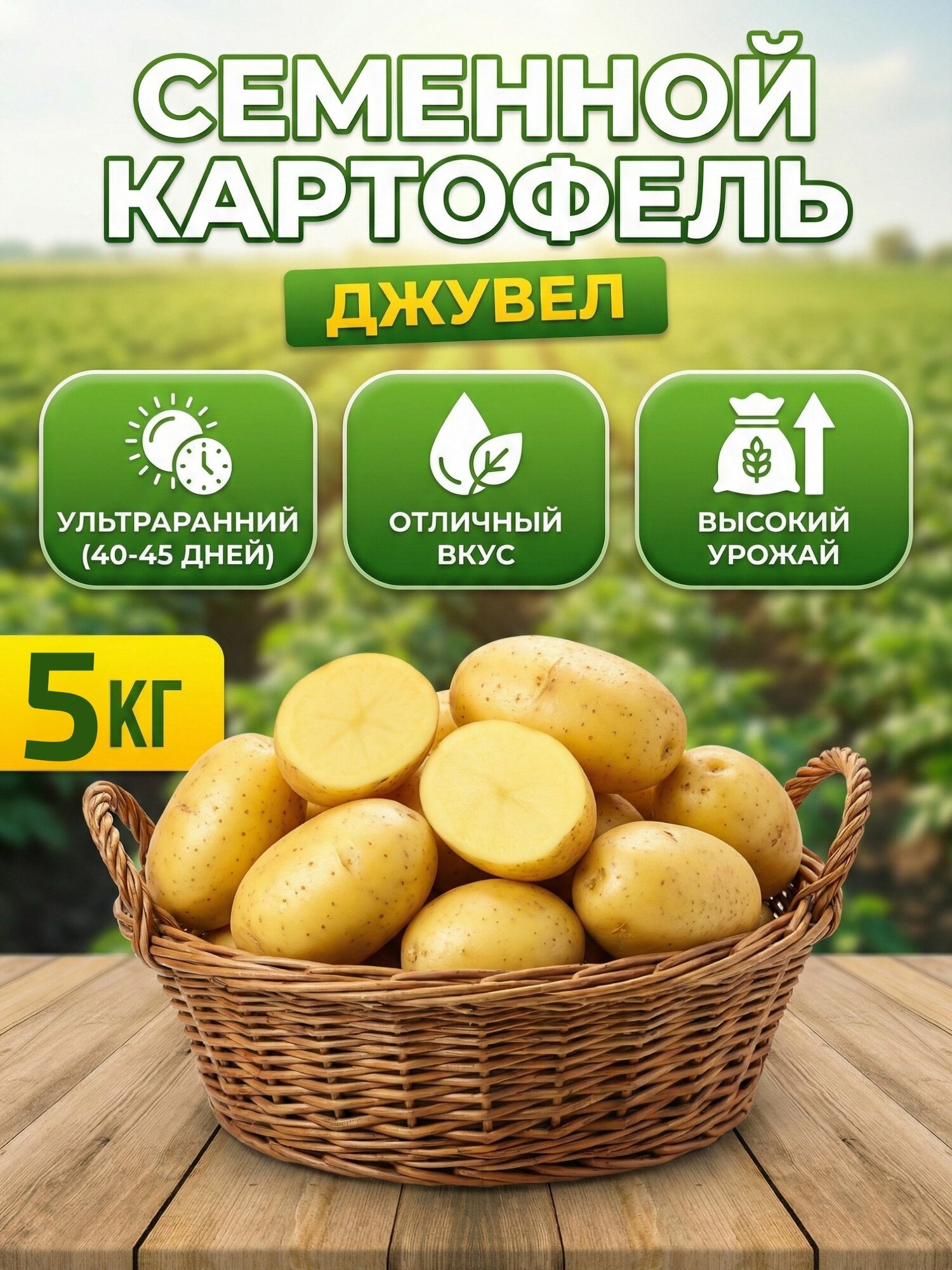 Картофель семенной Джувел 5 кг клубни на посадку ранний скороспелый сорт для варки, пюре, запекания