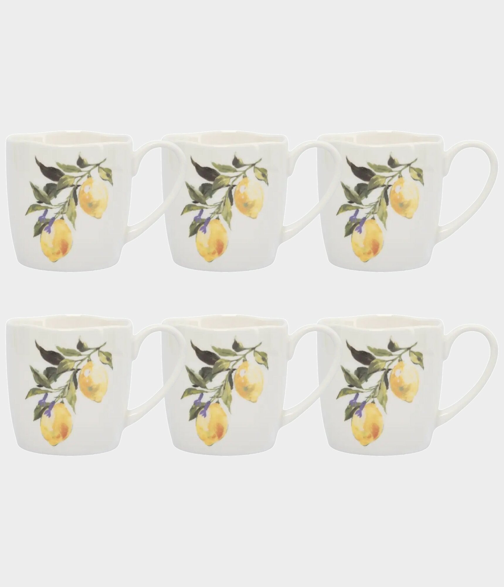Набор 6 кружек, 350 мл, фарфор, белая, Лимоны, Lemon branch (Anna Lafarg)