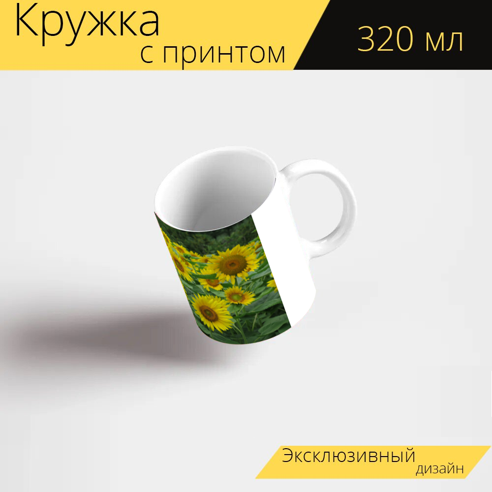 Кружка с рисунком, принтом "Подсолнухи, цветы, желтый" 320 мл.