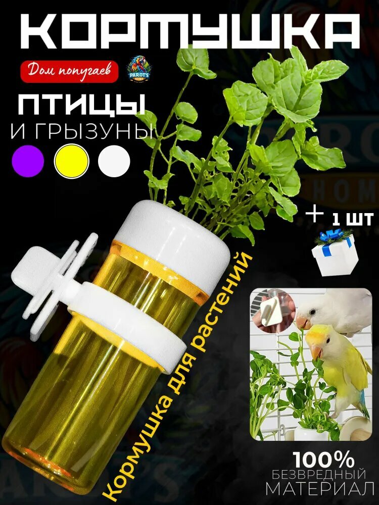 Кормушка для попугаев, охладитель для овощей