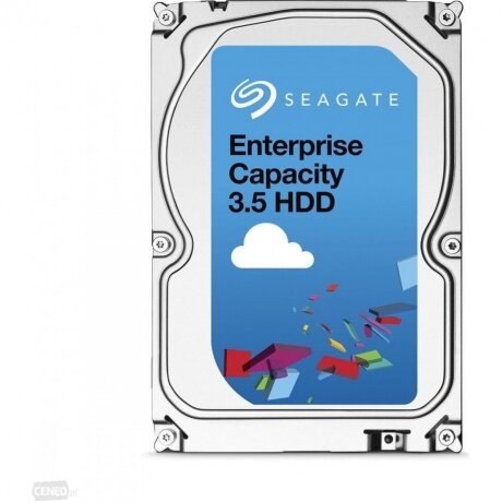 Жесткий диск Seagate Enterprise Capacity 1Tb (ST1000NX0313)