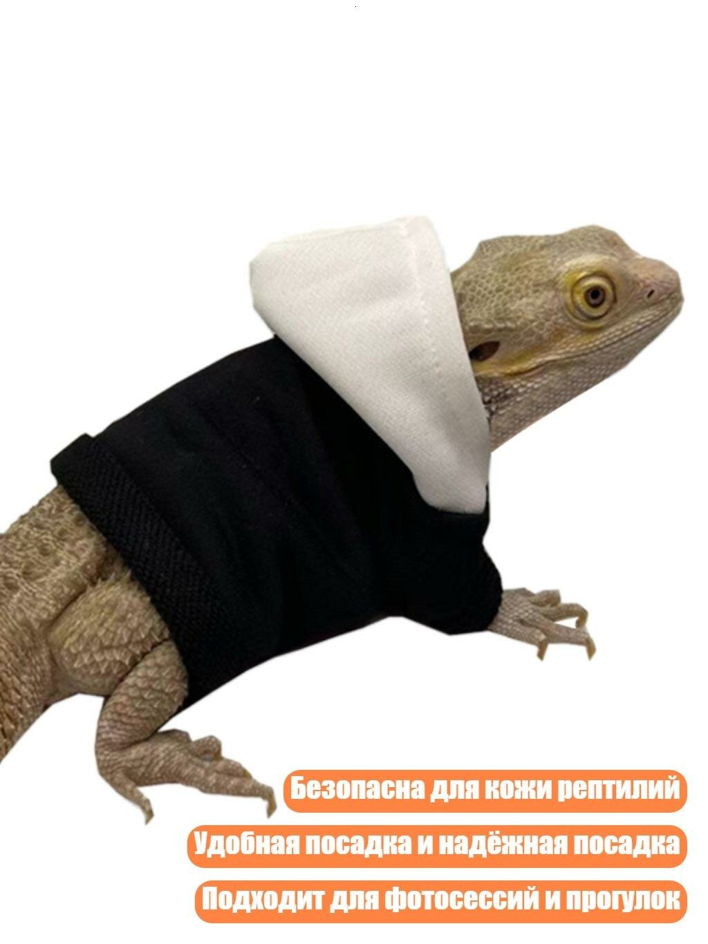Теплая толстовка для ящериц, Черное и белое