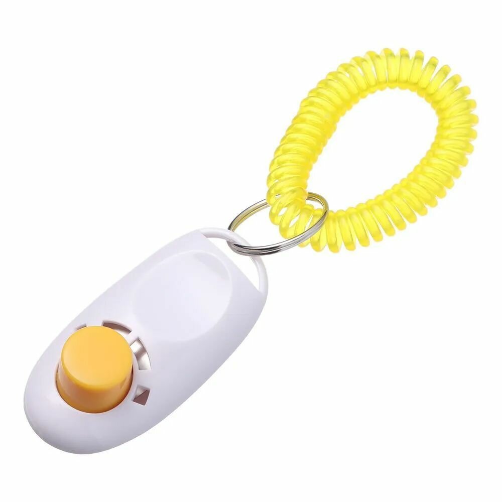 Обучение Собаки Кликер