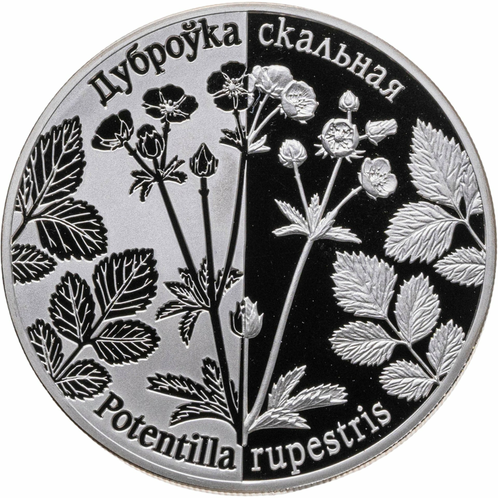 Беларусь 1 рубль 2017 "Возрожденные растения - Лапчатка скальная", Мельхиор медь-никель, в сохранности Proof