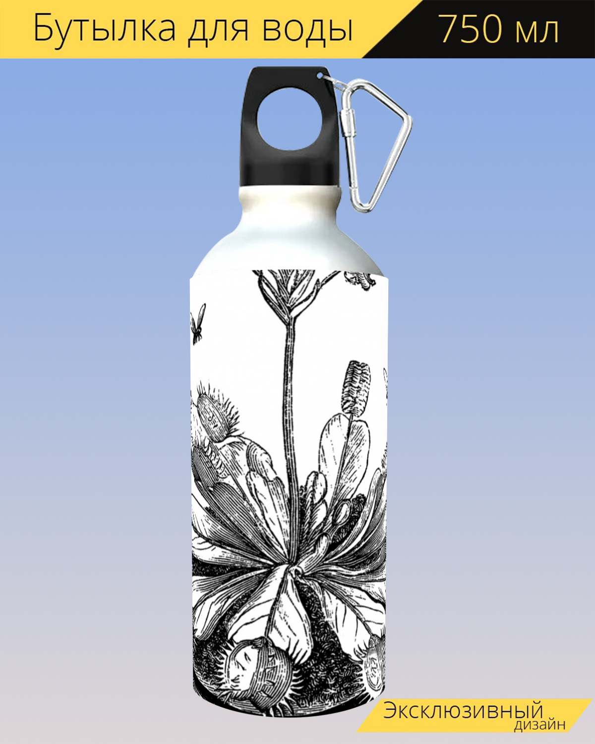 Бутылка фляга для воды "Клипарт Венерина мухоловка Венерина мухоловка плотоядное растение клипарт винтажное искусство старый античный иллюстрация." 750 мл. с карабином и принтом