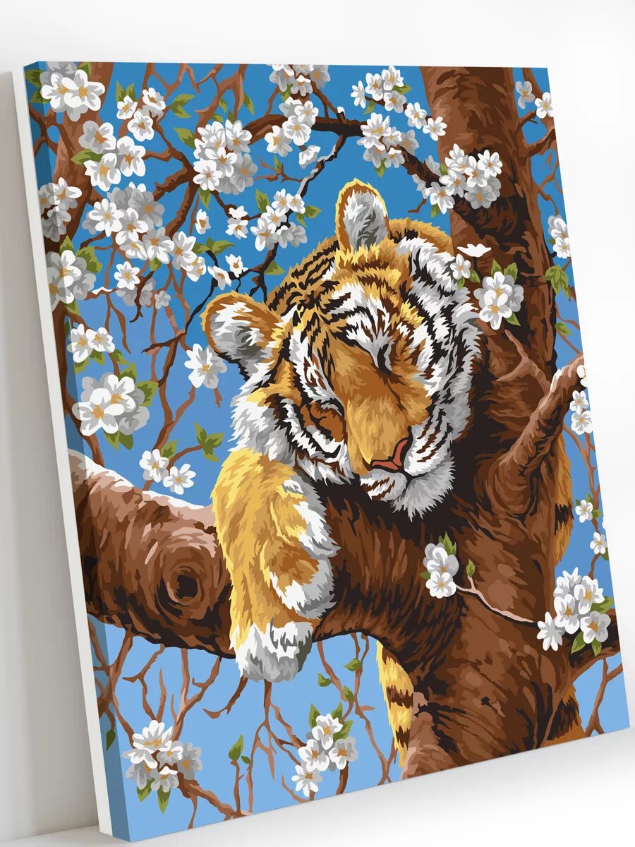 Картина по номерам на холсте с подрамником 40х50 см Весенний сон