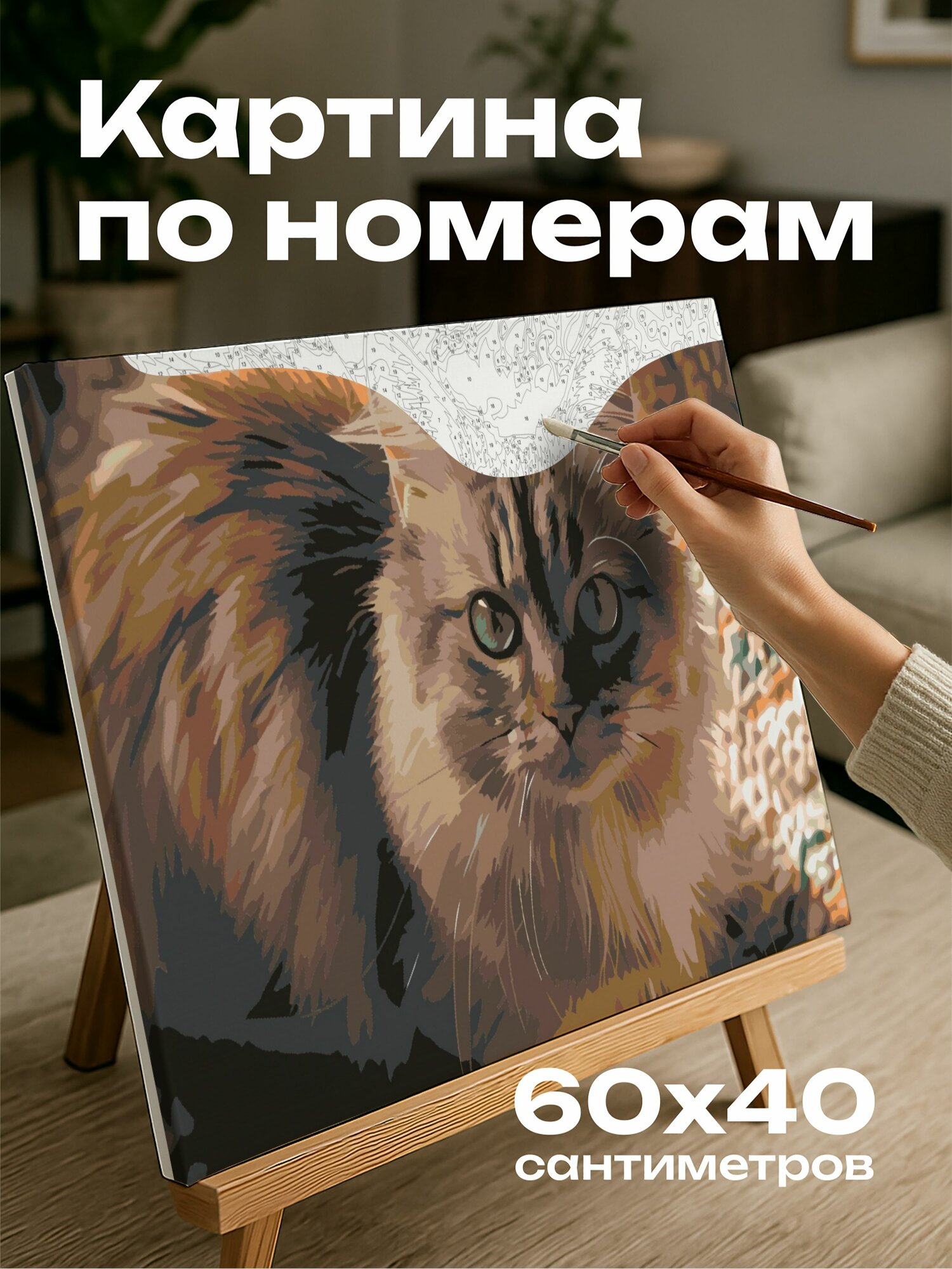 Картина по номерам 60x40 см, кошка, голубые глаза, солнечный свет, шерсть, тень, окно, Canon EF 50mm f, 1.8 STM