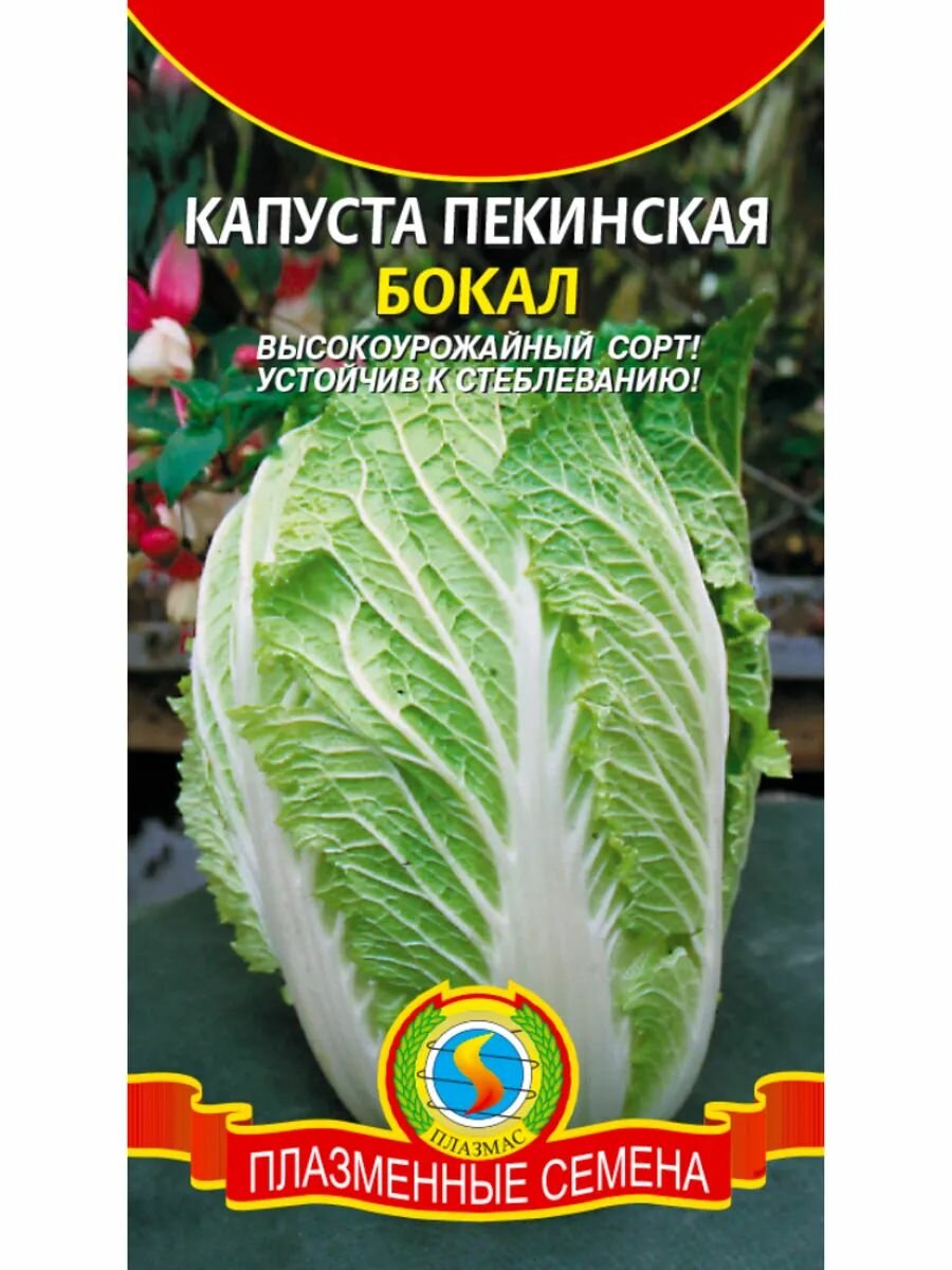 Пекинская капуста Бокал 0,5 г, Плазменные семена